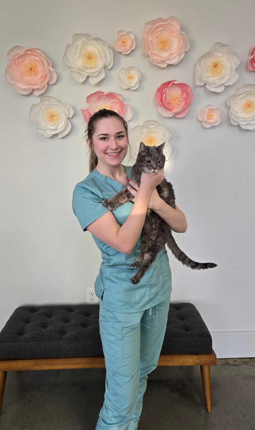 Spring Mill Veterinary Hospital - Conshohocken, PA - Our Doctors